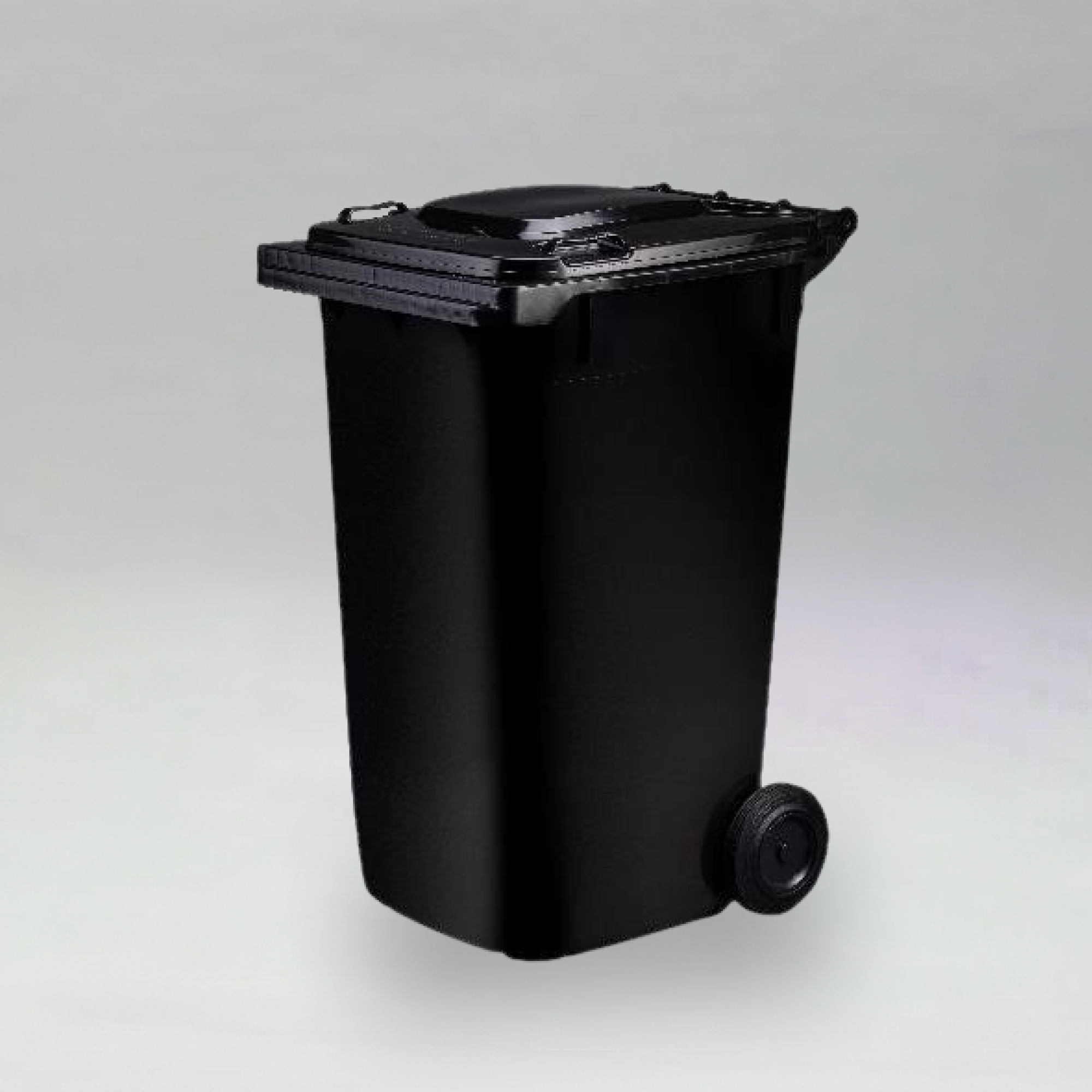 Black wheelie bin store